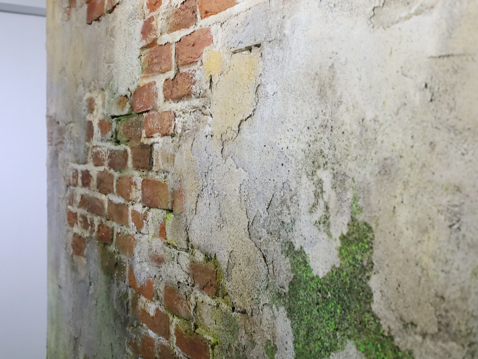 【東銀座駅1分】大型Ｌ字漆喰壁、対談動画配信、商品・動画撮影、ウェディング、家族、マタニティ、自然光3面、背景5、移動式パネルの写真19