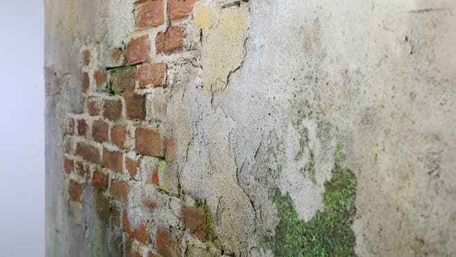 【東銀座駅1分】大型L字漆喰壁、対談動画配信、商品・動画撮影、ウェディング、家族、マタニティ、自然光3面、背景5、移動式パネルの写真19