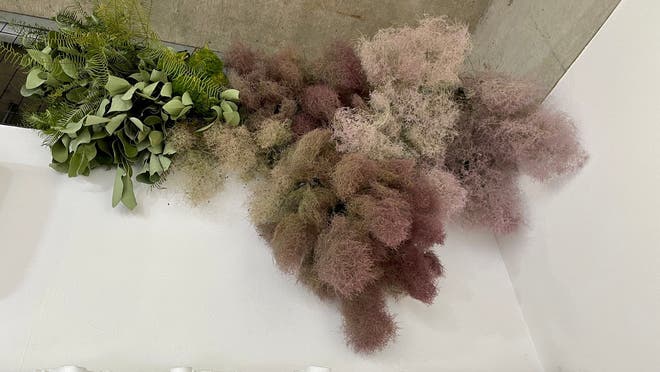 麻布十番駅1番出口1分の撮影スタジオ🌿WiFi ・プロジェクター🎥スチール・動画撮影・ミーティング・インタビュースペースの写真14