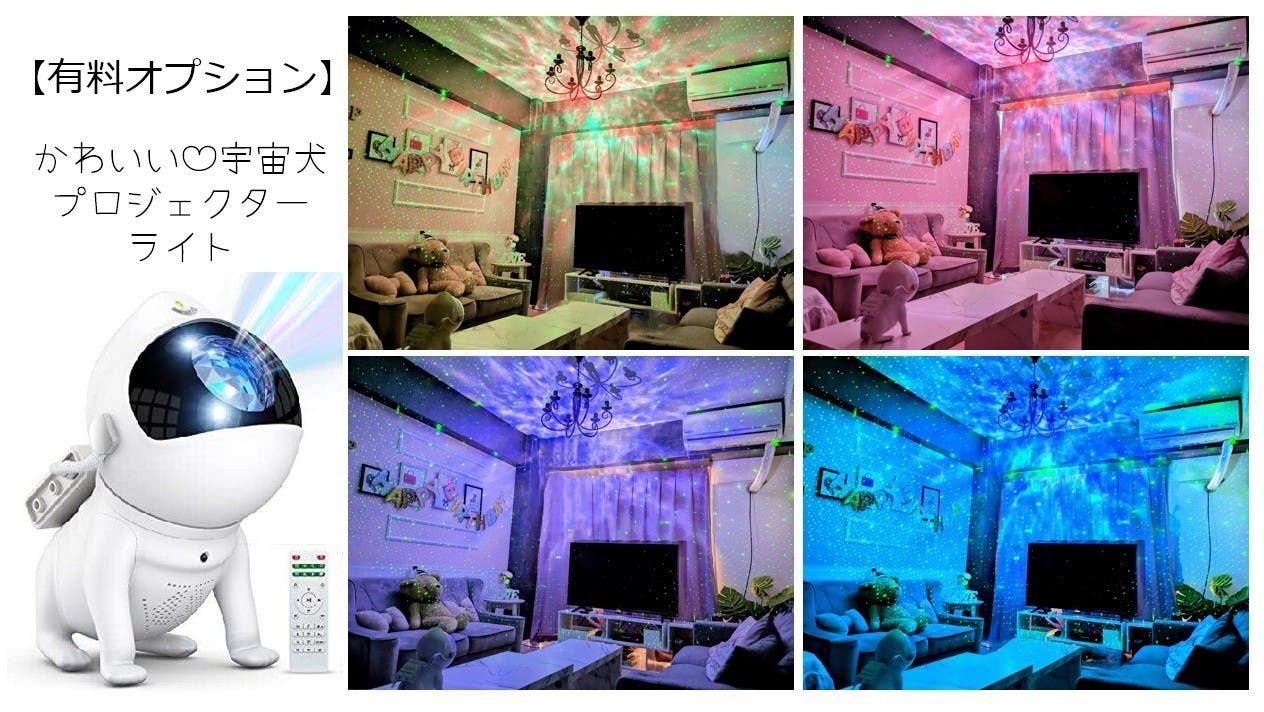 ✨ビデオライト、リングライト📸ゴミ捨て無料💁‍♀️池袋徒歩2分 | 最大15名 | 天蓋付きベッド |の写真11