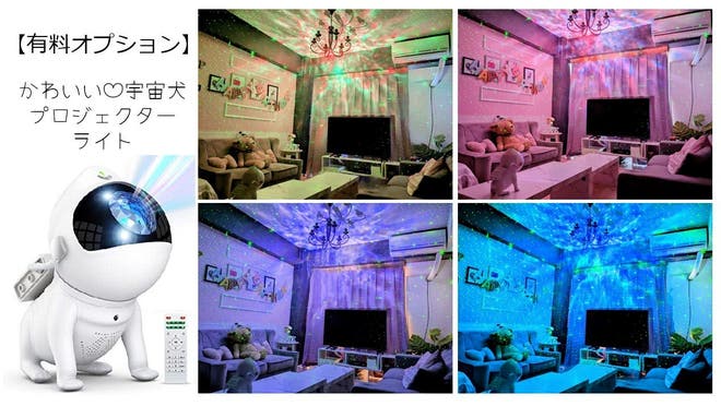 ✨ビデオライト、リングライト📸ゴミ捨て無料💁♀️池袋徒歩2分 | 最大15名 | 天蓋付きベッド |の写真11