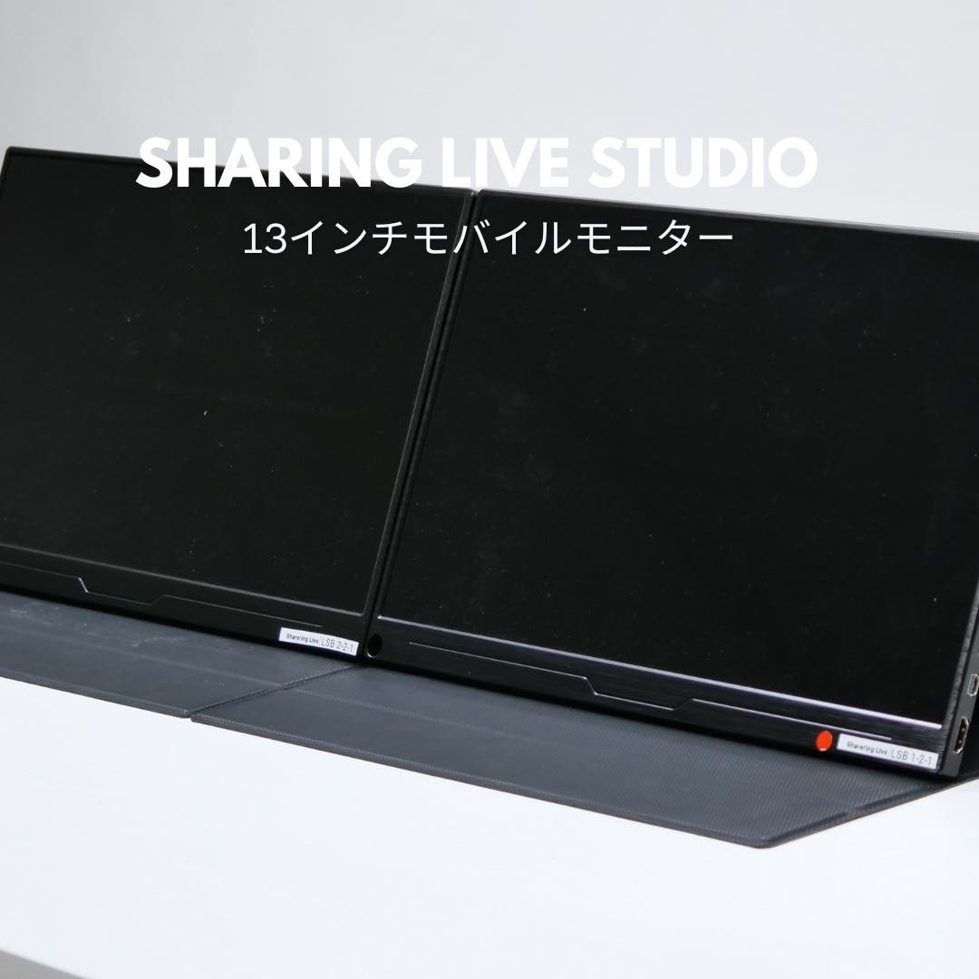 13インチモバイルモニターの画像1