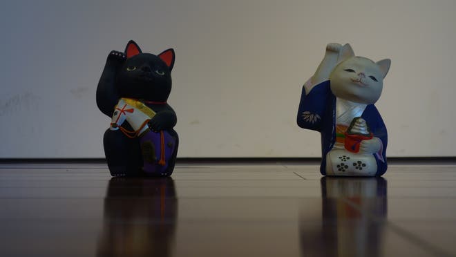 【JR野崎駅徒歩3分】スタジオ舞台でコスプレ!どうして舞台で撮らない?教室の次はこれだ!の写真8