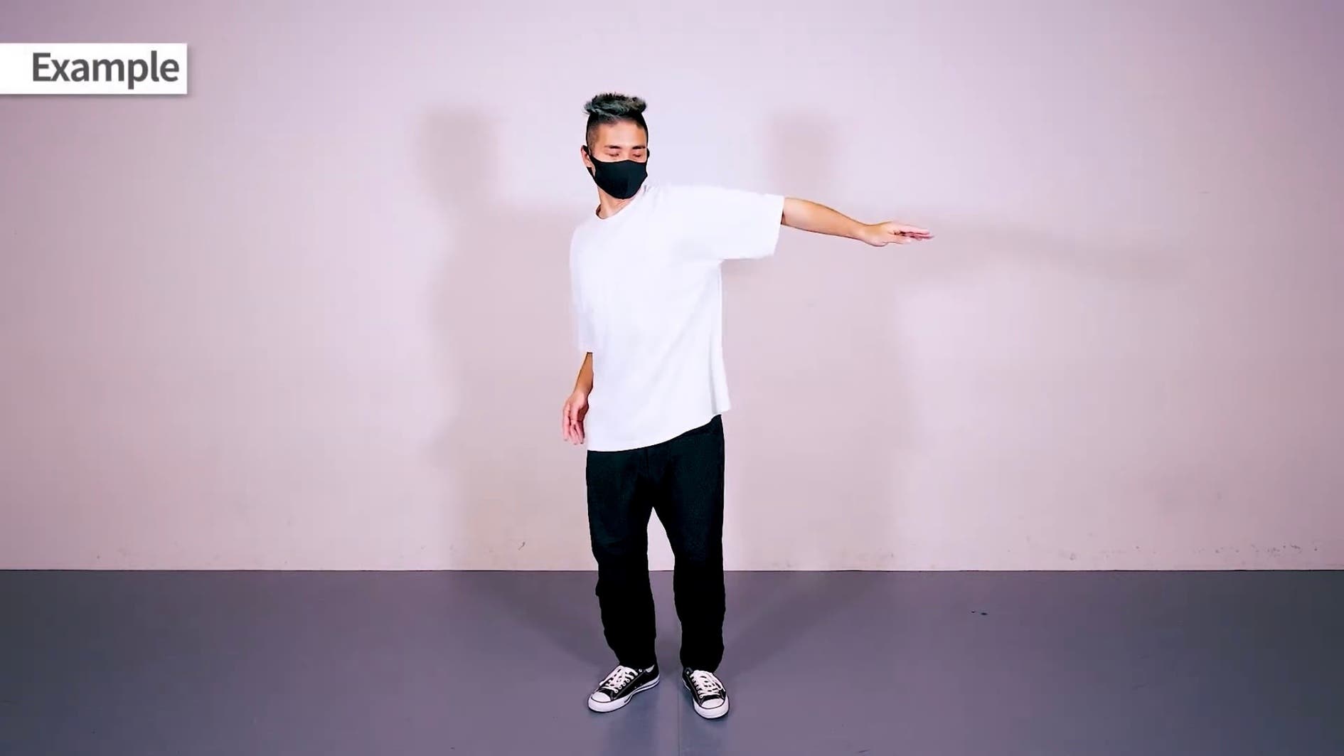 LEDパネルライト(NEEWER / NL480)の画像1