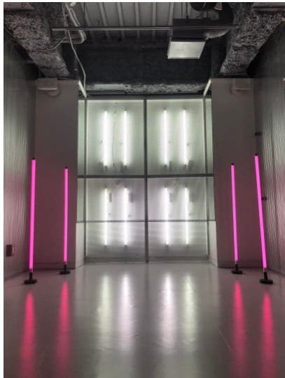 🪄LEDチューブライト (リモコン式)の画像3