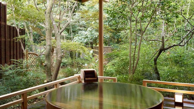 撮影限定 明治時代の雰囲気をそのまま残した和庭園が見える露天風呂付き和洋室の写真3