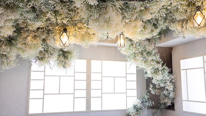 満天のカスミソウの下撮影収録できる機材全部無料のデザイナーズ撮影スタジオの写真18