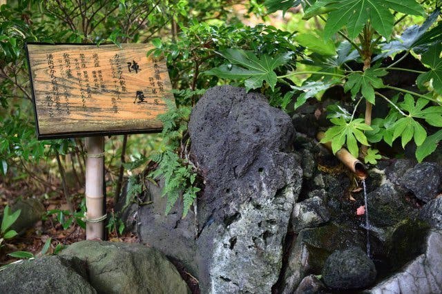 撮影限定　1万坪の日本庭園を贅沢に貸切って本格撮影の写真5