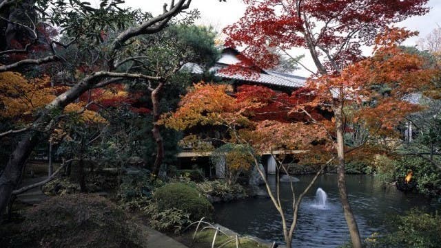 撮影限定 1万坪の日本庭園を贅沢に貸切って本格撮影の写真2