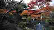 撮影限定 1万坪の日本庭園を贅沢に貸切って本格撮影の写真2