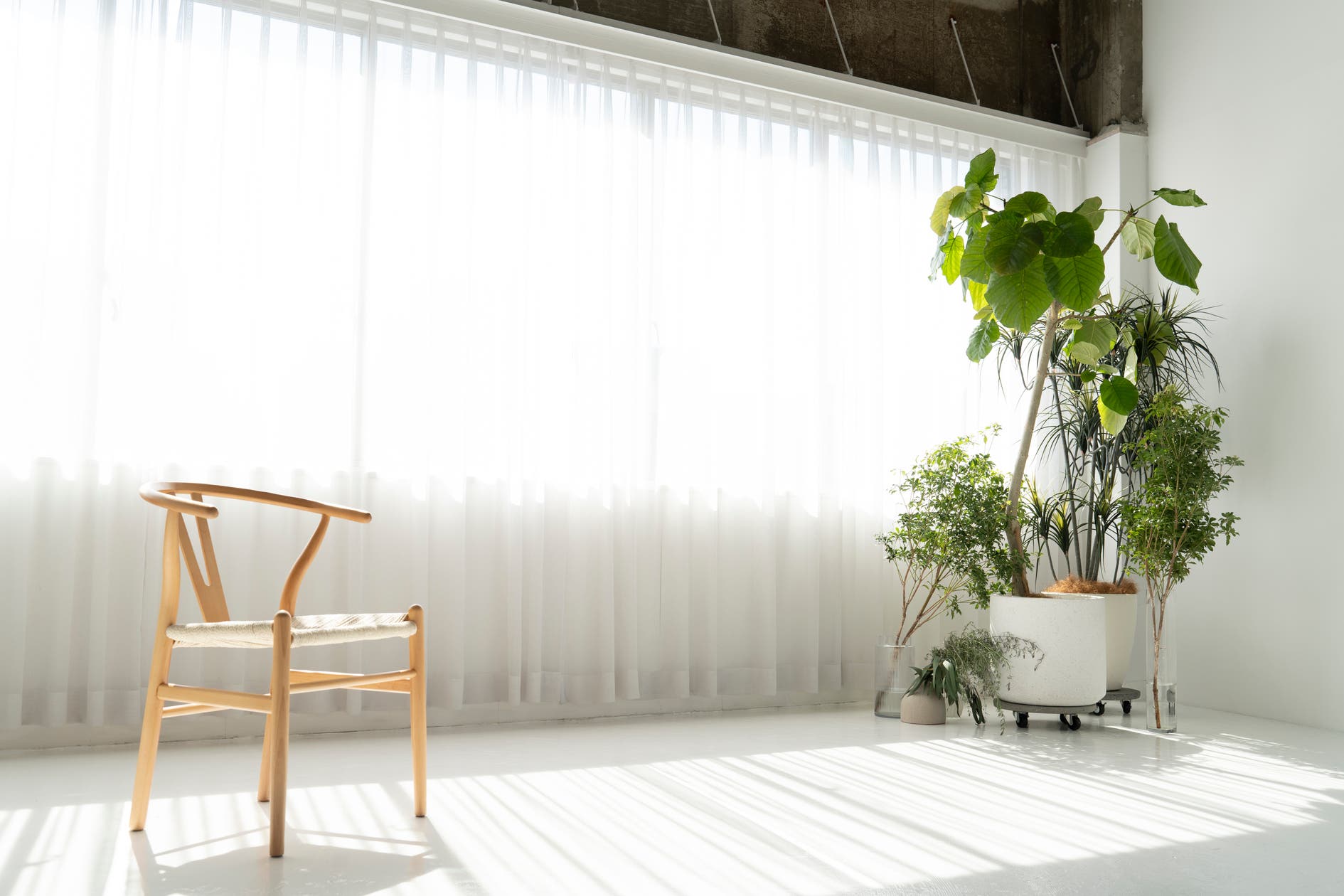 【堺筋本町】自然光溢れるレンタル撮影スタジオ、白モルタル壁、白コンクリート床・モルタル黒壁コンクリート黒床の黒ホリゾントの写真2