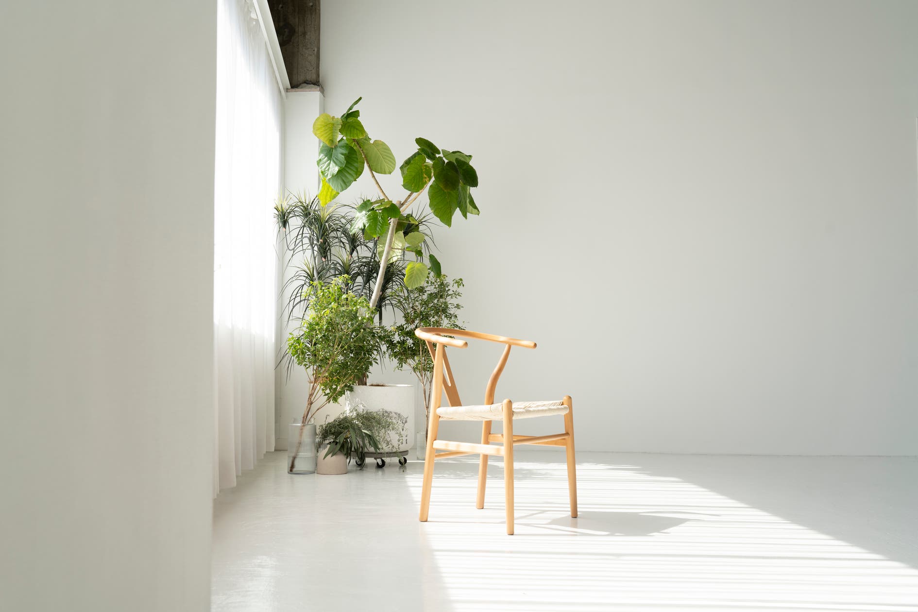 【堺筋本町】自然光溢れるレンタル撮影スタジオ、白モルタル壁、白コンクリート床・モルタル黒壁コンクリート黒床の黒ホリゾントの写真5