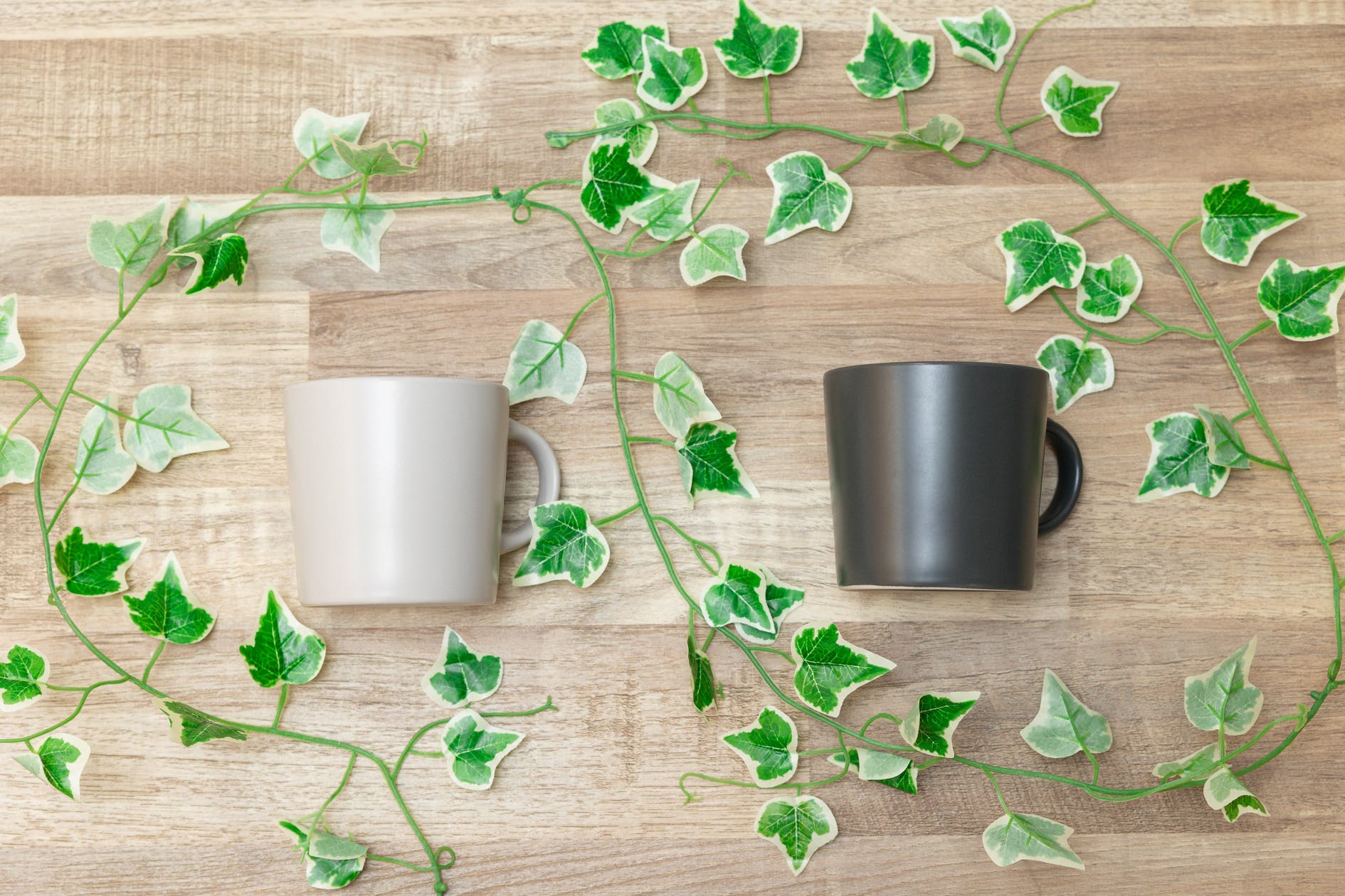 スペモ🌿クリスマス🎄歓送迎会🎊学割👨‍🎓スタジオ🌟100㌅🎥撮影🪞ママ会👶🏻405_Oasis新橋の写真27