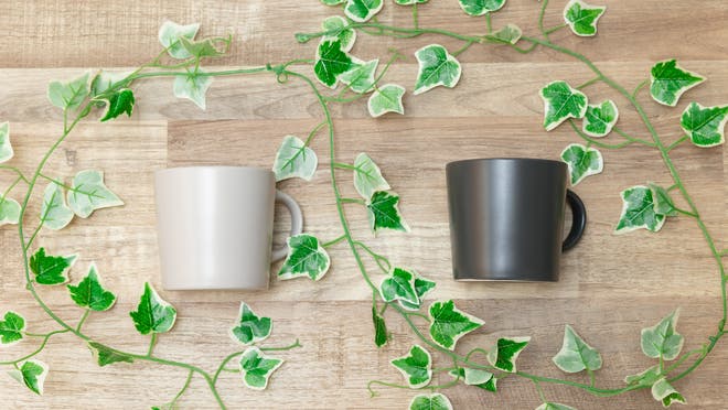 スペモ🌿クリスマス🎄歓送迎会🎊学割👨🎓スタジオ🌟100㌅🎥撮影🪞ママ会👶🏻405_Oasis新橋の写真27