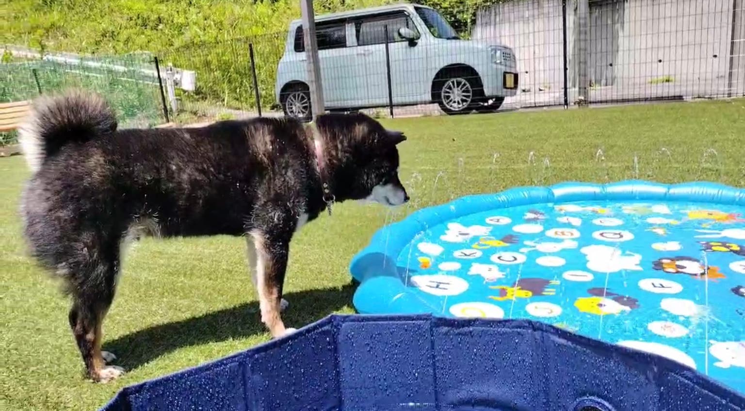 ドッグラン付きレンタルスペース（キッチン付）の写真23