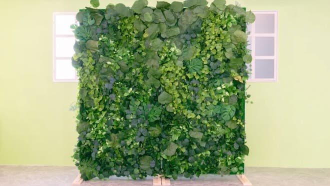 【コットンキャンディ】パステルカラーのガーリーロマンティックなかわいいスタジオの写真10