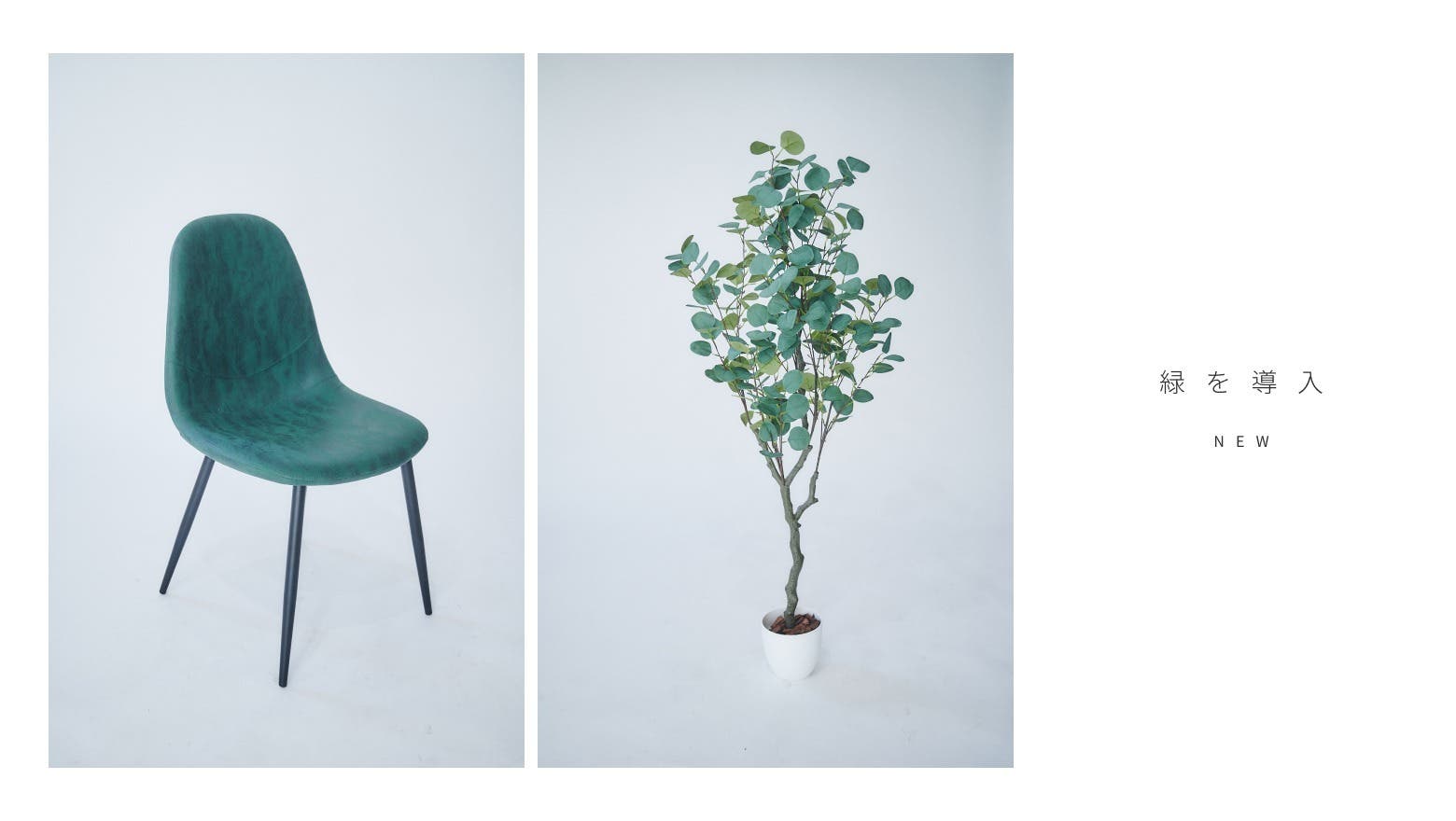 【渋谷神泉・フォトグラファー内装監修📸】自然光・大きめ採光窓&モノトーン背景、機材豊富で利用しやすい◎の写真6