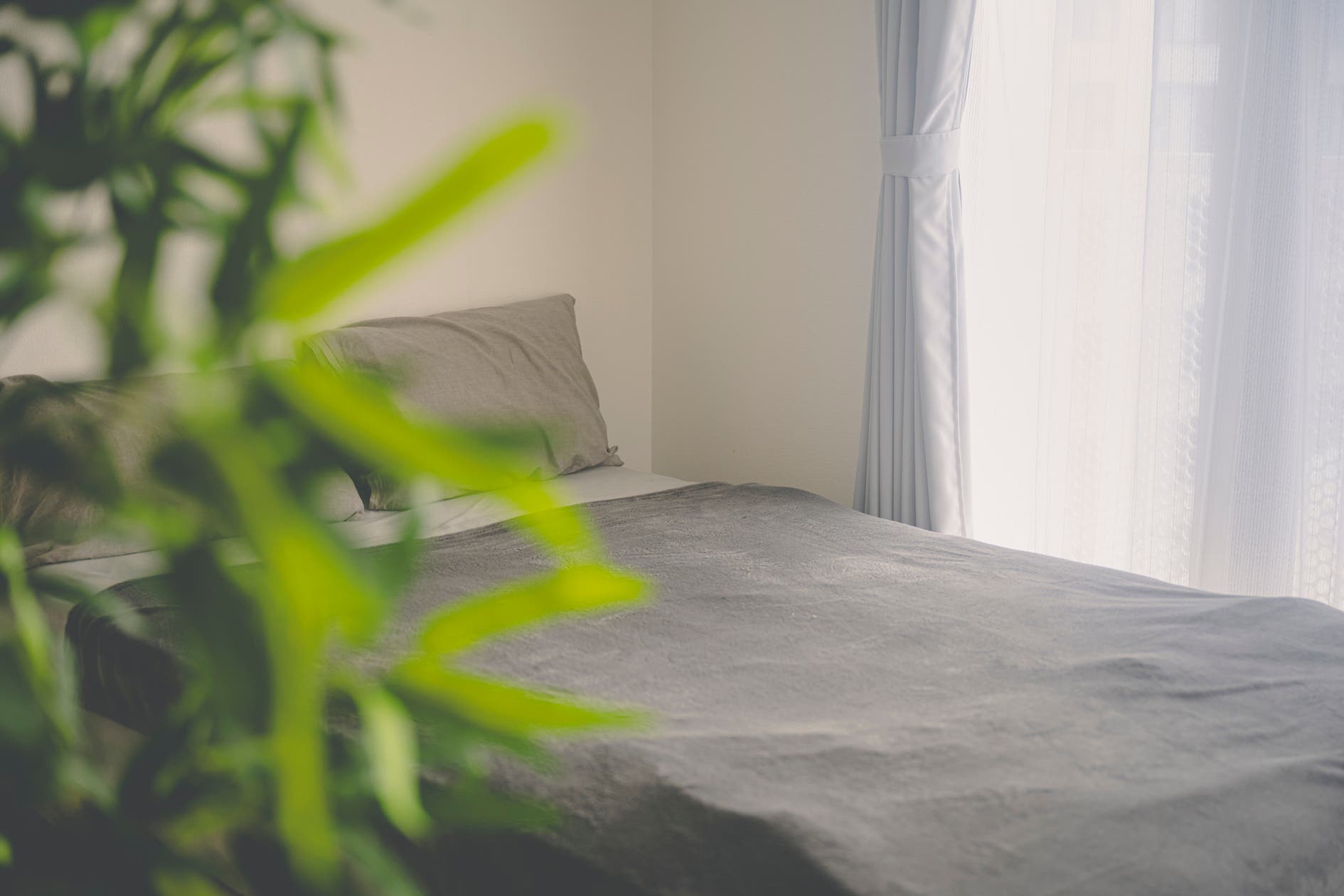 スペモ🏠クリスマス🎄歓送迎会🎊学割👨‍🎓北欧家具🎠ママ会🌿パーティ🥂プロジェクター🎥357_valo日本橋の写真12