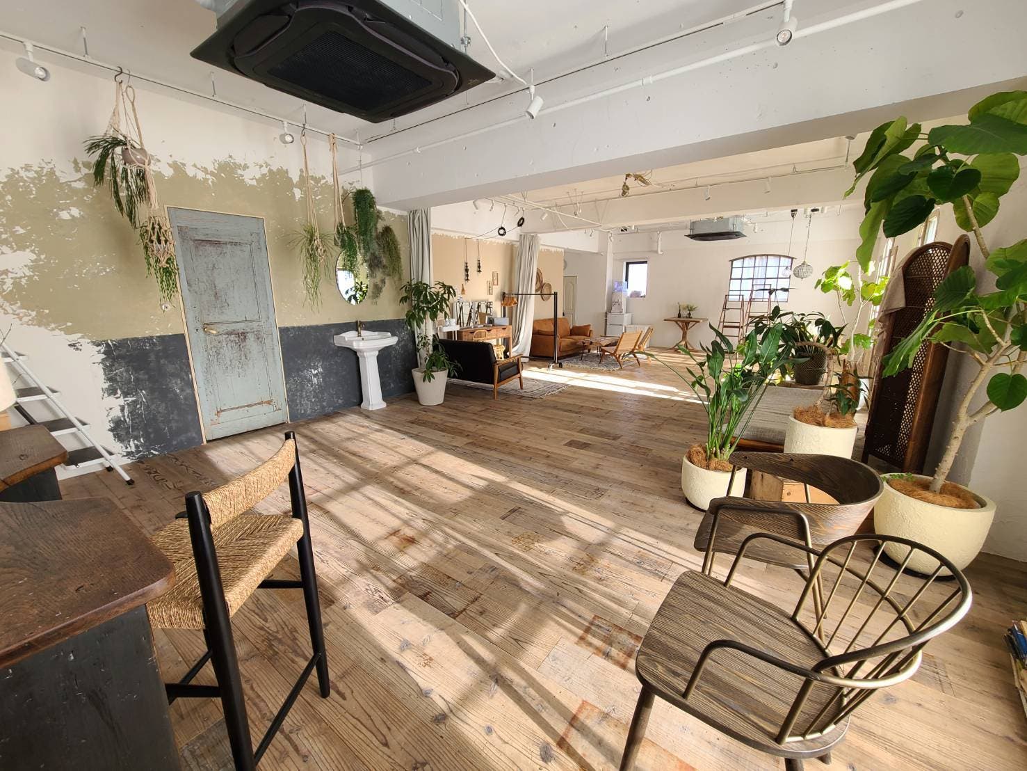 自然光｜機材無料｜漆喰壁｜こだわりインテリア｜豊富な撮影シーン｜屋上撮影｜たくさんのグリーンが自慢の写真4