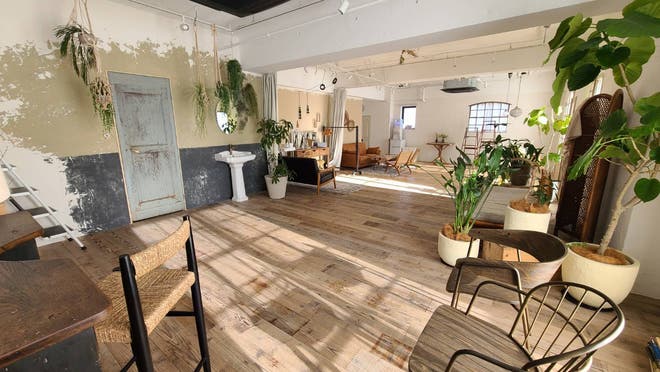 自然光|機材無料|漆喰壁|こだわりインテリア|豊富な撮影シーン|屋上撮影|たくさんのグリーンが自慢の写真4