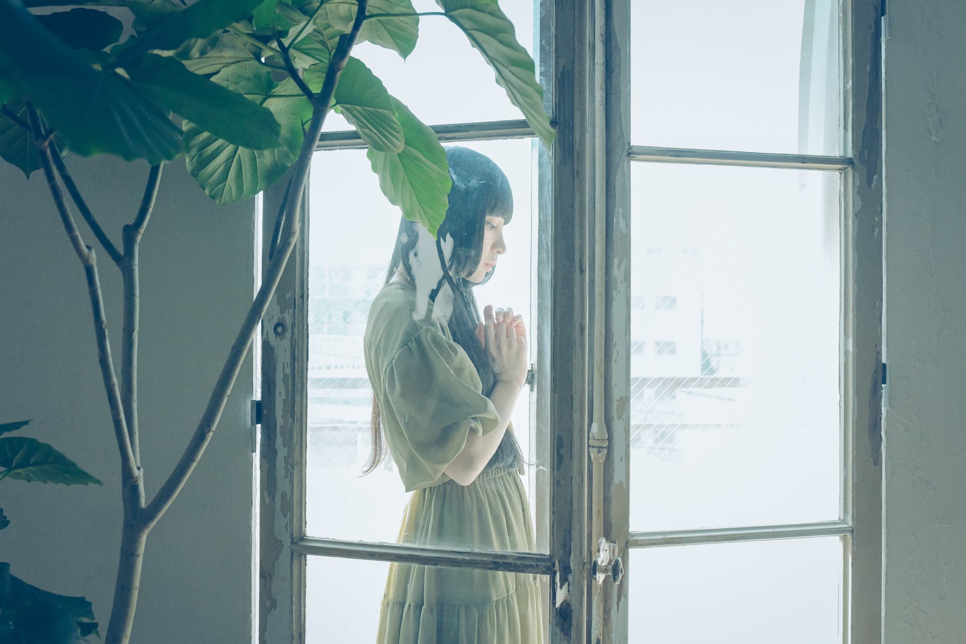 自然光｜機材無料｜漆喰壁｜こだわりインテリア｜豊富な撮影シーン｜屋上撮影｜たくさんのグリーンが自慢の写真11