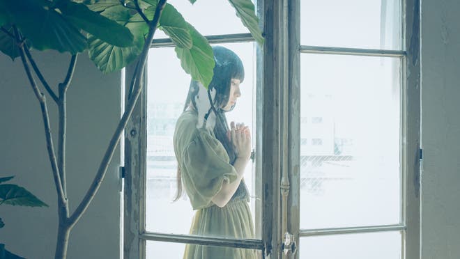 自然光|機材無料|漆喰壁|こだわりインテリア|豊富な撮影シーン|屋上撮影|たくさんのグリーンが自慢の写真11