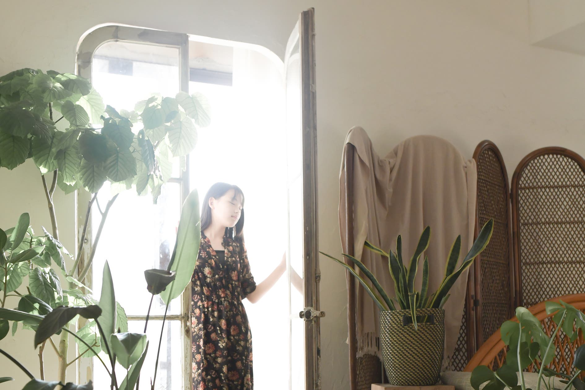 自然光｜機材無料｜漆喰壁｜こだわりインテリア｜豊富な撮影シーン｜屋上撮影｜たくさんのグリーンが自慢の写真12