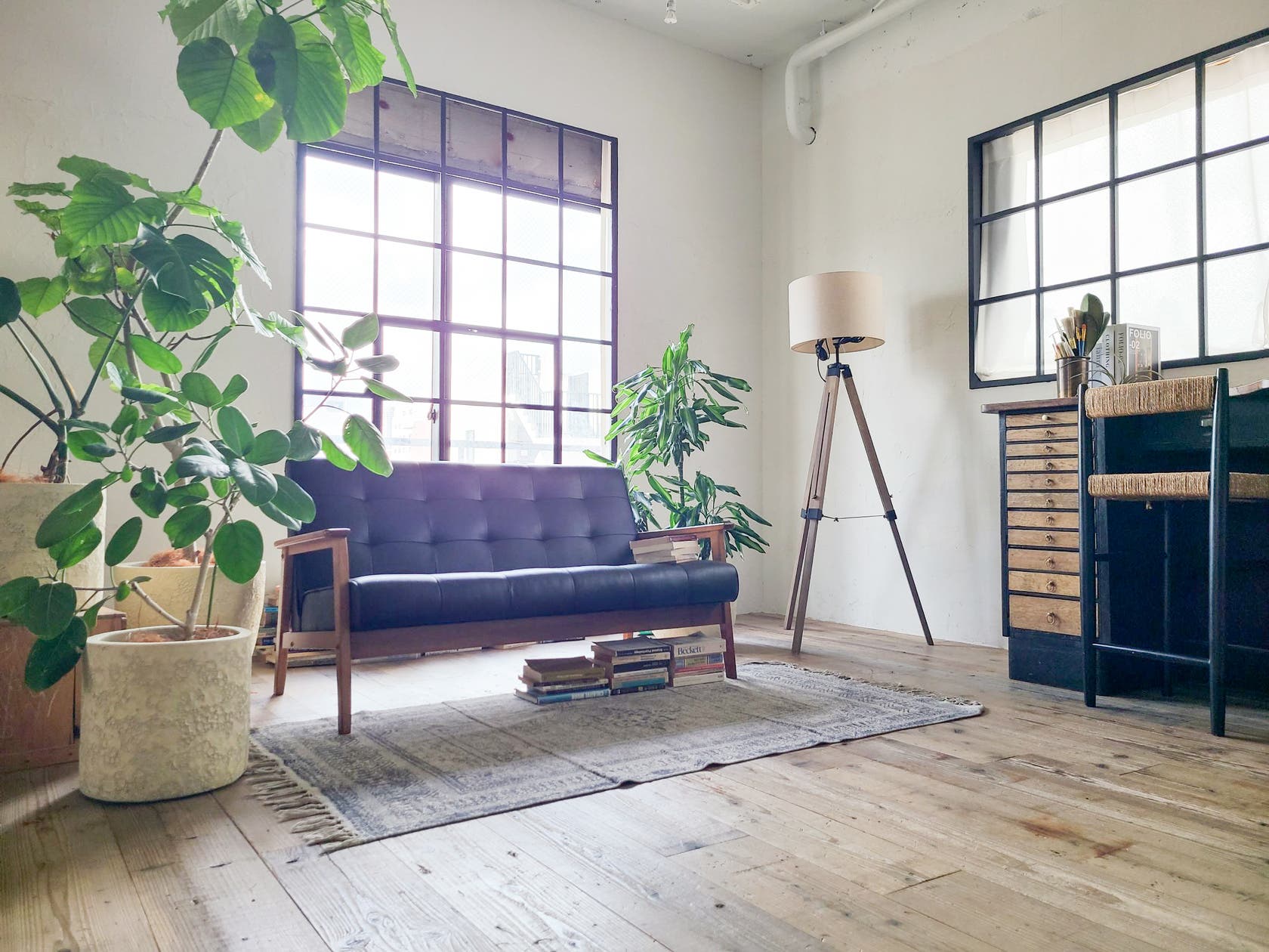 自然光｜機材無料｜漆喰壁｜こだわりインテリア｜豊富な撮影シーン｜屋上撮影｜たくさんのグリーンが自慢の写真15