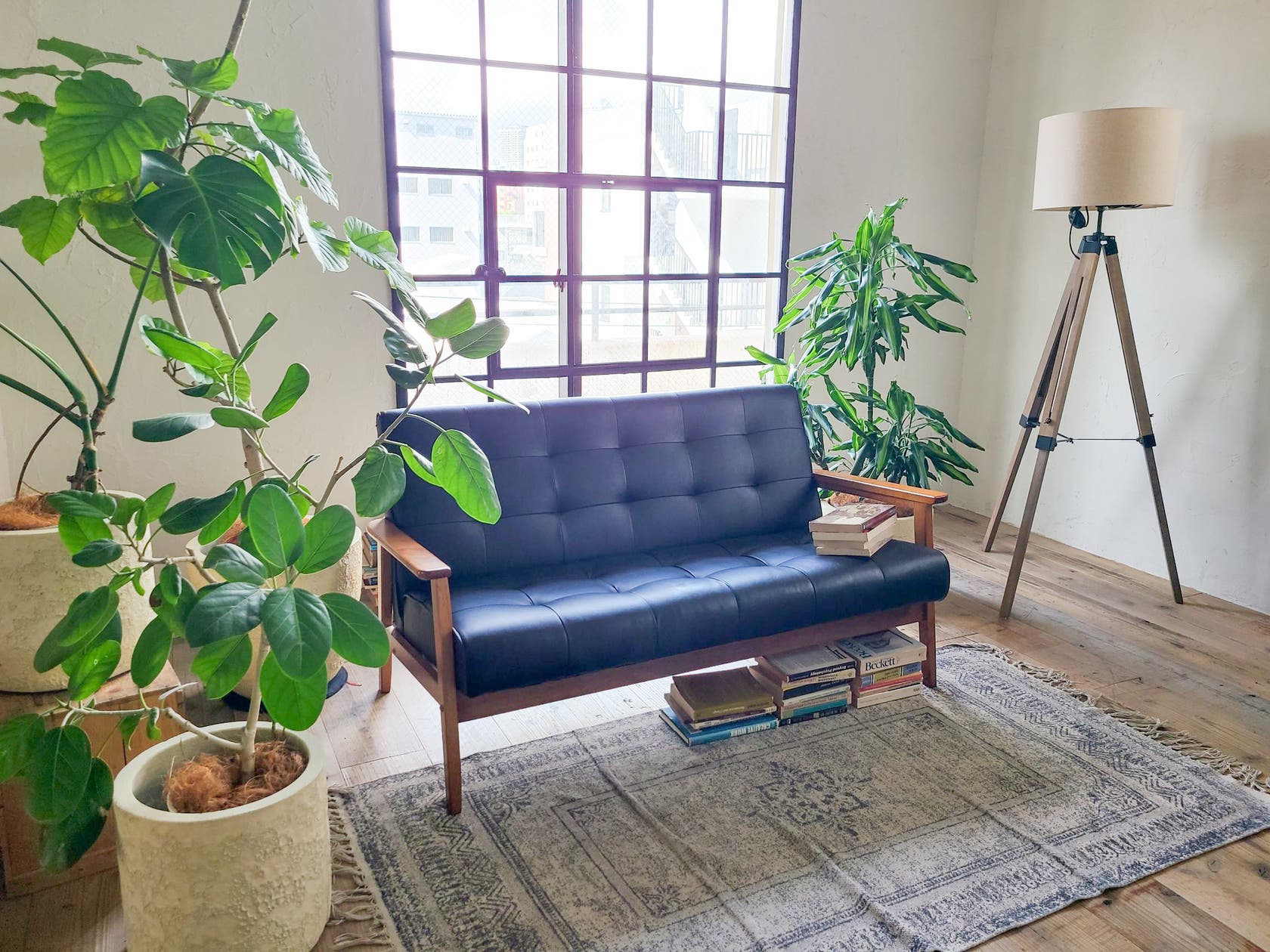 自然光｜機材無料｜漆喰壁｜こだわりインテリア｜豊富な撮影シーン｜屋上撮影｜たくさんのグリーンが自慢の写真16