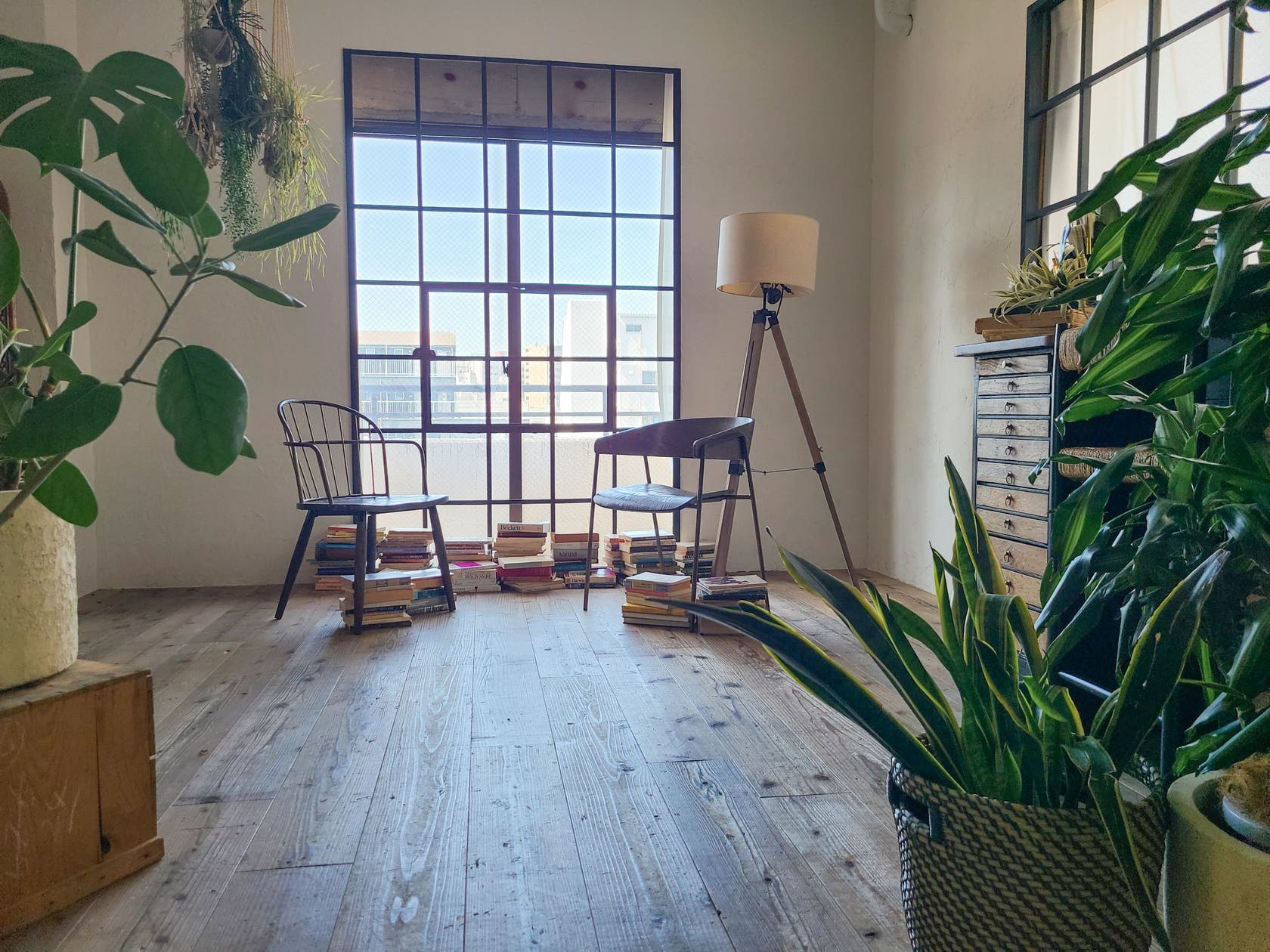 自然光｜機材無料｜漆喰壁｜こだわりインテリア｜豊富な撮影シーン｜屋上撮影｜たくさんのグリーンが自慢の写真17