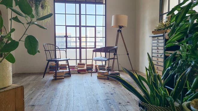 自然光|機材無料|漆喰壁|こだわりインテリア|豊富な撮影シーン|屋上撮影|たくさんのグリーンが自慢の写真17