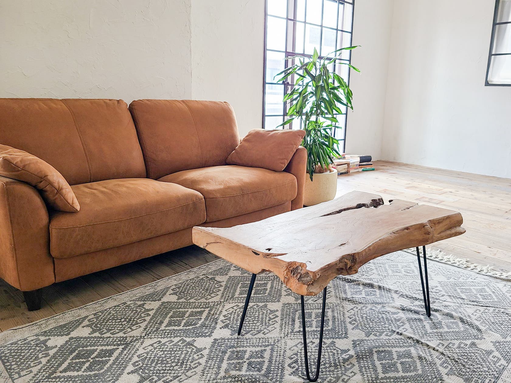 自然光｜機材無料｜漆喰壁｜こだわりインテリア｜豊富な撮影シーン｜屋上撮影｜たくさんのグリーンが自慢の写真19