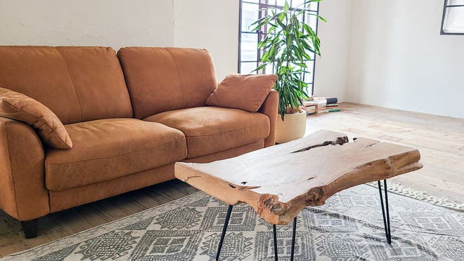 自然光|機材無料|漆喰壁|こだわりインテリア|豊富な撮影シーン|屋上撮影|たくさんのグリーンが自慢の写真19