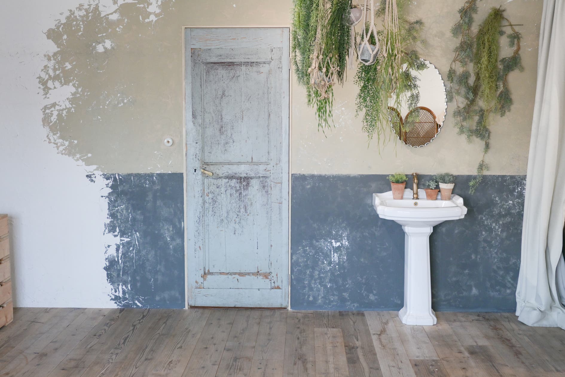 自然光｜機材無料｜漆喰壁｜こだわりインテリア｜豊富な撮影シーン｜屋上撮影｜たくさんのグリーンが自慢の写真20