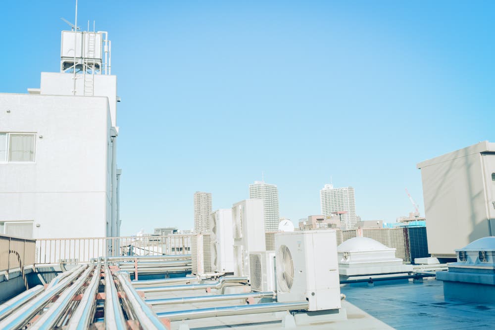 自然光｜機材無料｜漆喰壁｜こだわりインテリア｜豊富な撮影シーン｜屋上撮影｜たくさんのグリーンが自慢の写真23