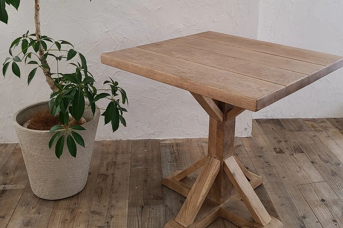 自然光｜機材無料｜漆喰壁｜こだわりインテリア｜豊富な撮影シーン｜屋上撮影｜たくさんのグリーンが自慢の写真29