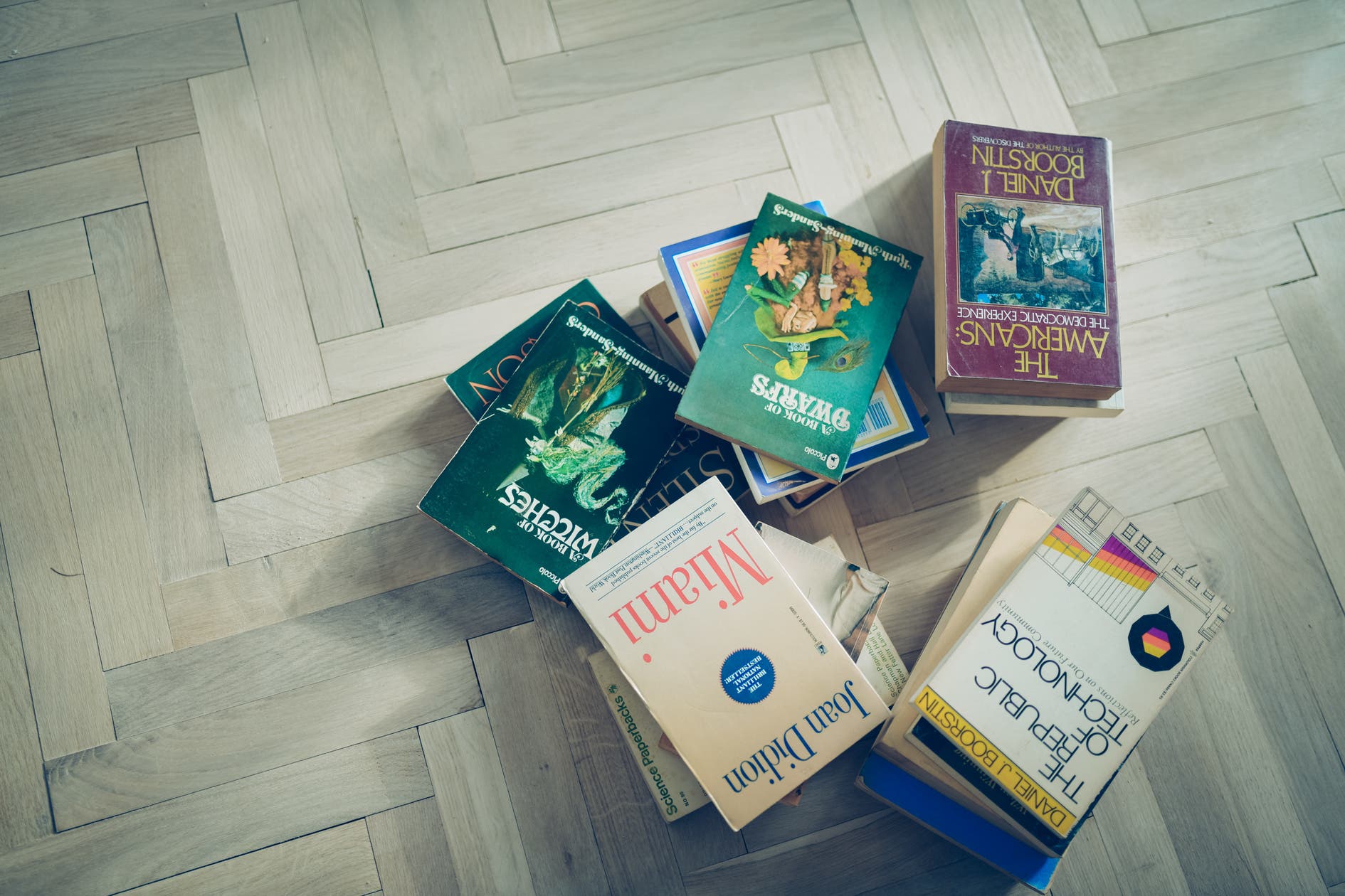 自然光｜機材無料｜漆喰壁｜こだわりインテリア｜豊富な撮影シーン｜屋上撮影｜たくさんのグリーンが自慢の写真30