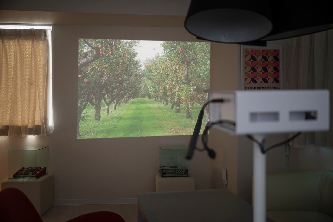 【リンバケ】駅1分✨自然光✨白基調✨ブランド家具✨おしゃれ✨ポートレート✨クリスマスツリー✨コスプレ✨物撮り✨インタビューの写真17