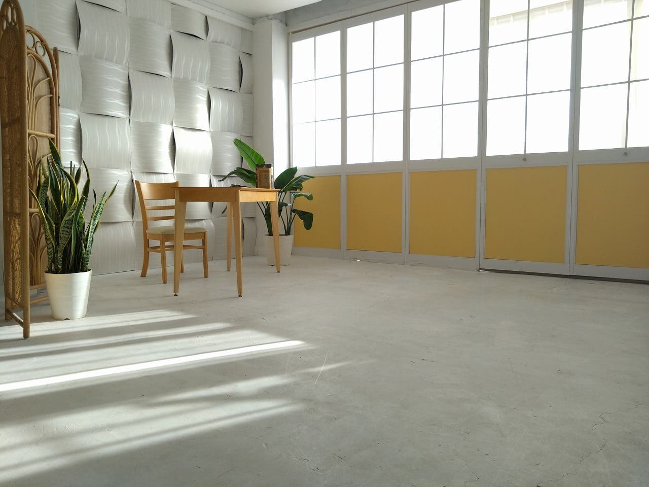 水道橋徒歩1分/自然光【限定格安プランあり】直射光の差し込むサンルーム/様々な背景、壁を撮影可/ビュースタジオの写真9