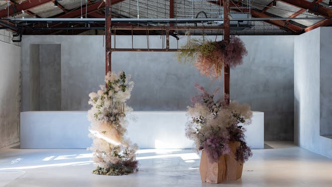 【工場跡地をリノベーションしたスタジオ】天井の高い広々グレースペース/写真撮影/岸和田和泉ICから車で10分の写真3