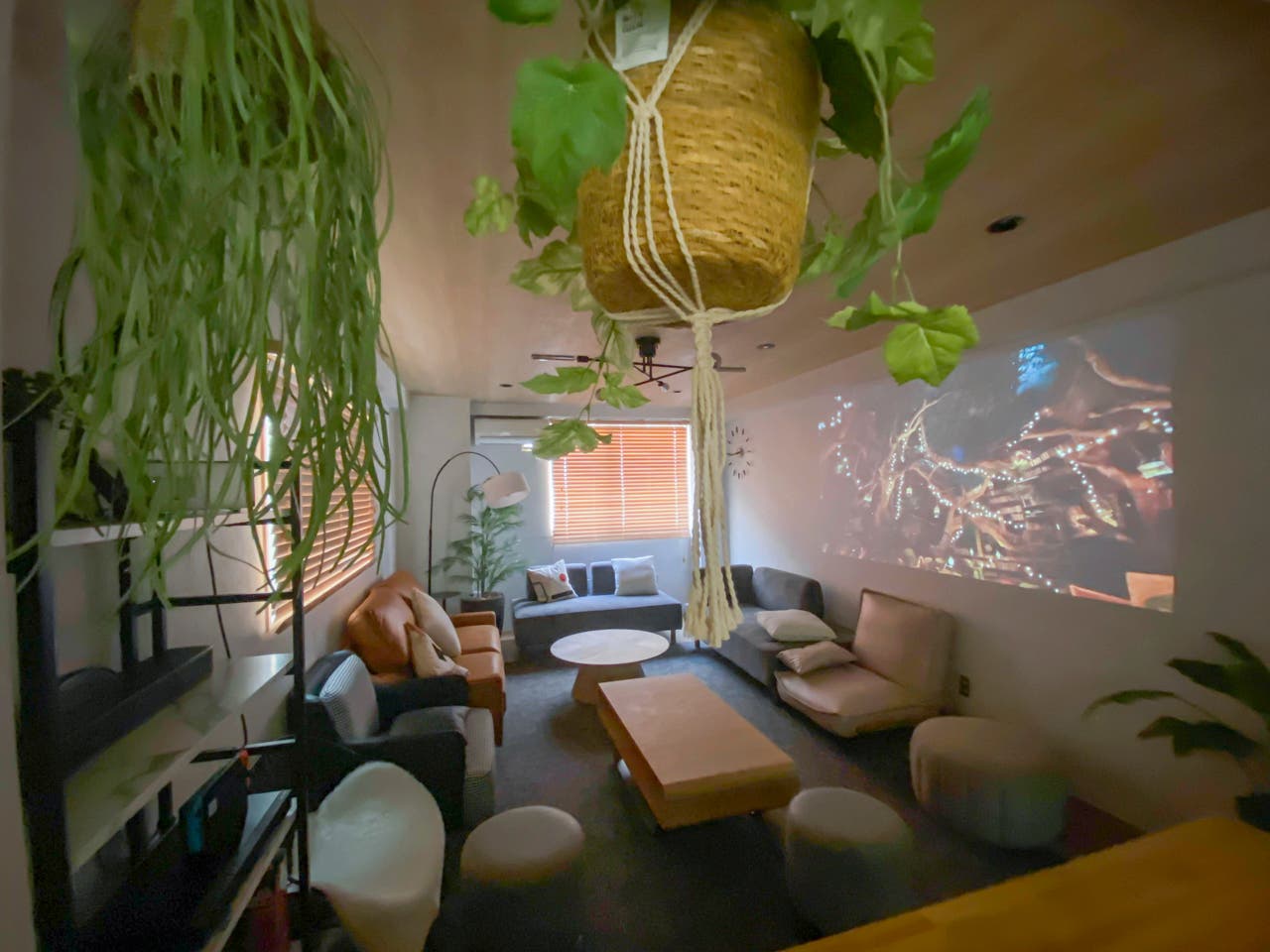 スペモ🌿クリスマス🌲歓送迎会🎊女子会🎀120㌅プロジェクター🎥パーティ🎉ママ会🤱🏻401_Oasis秋葉原3rdの写真12