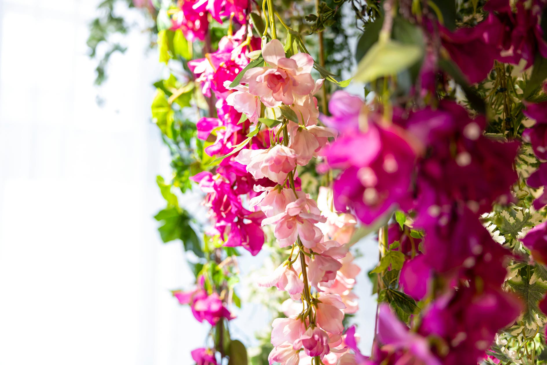 PIXIE「Bスタジオ」上前津駅から徒歩5分⭐︎こだわりのフォトスタジオ！！の写真8