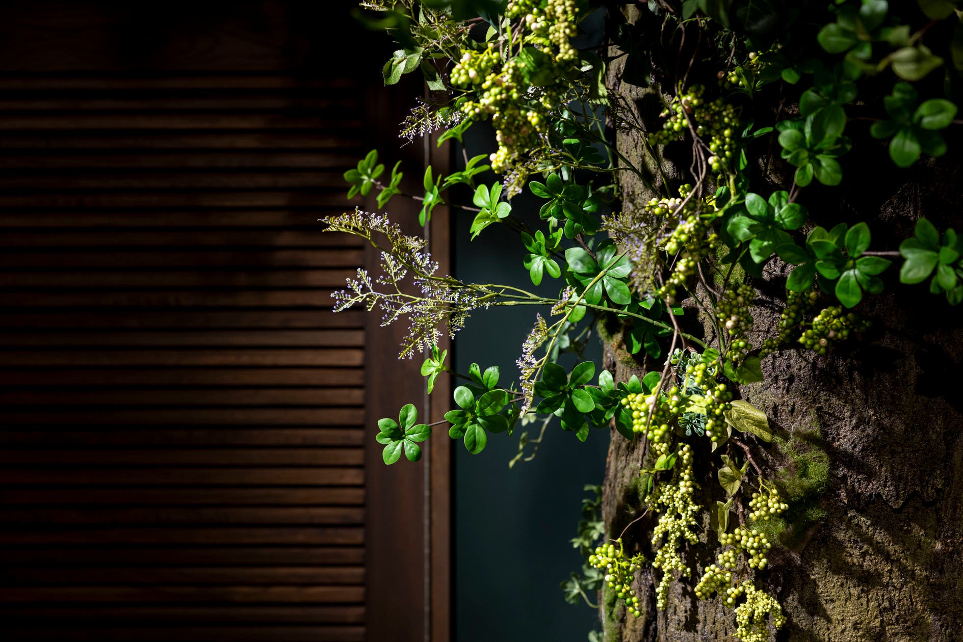 PIXIE「Cスタジオ」上前津駅から徒歩5分⭐︎こだわりのフォトスタジオ！の写真12