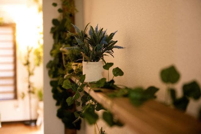 文化村から徒歩２分・神泉駅歩３分｜広々サロン。昇降ベッド・大型テーブルとソファを配したボタニカルな空間 *4階まで階段ですの写真8