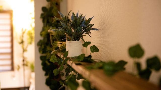 文化村から徒歩2分・神泉駅歩3分|広々サロン。昇降ベッド・大型テーブルとソファを配したボタニカルな空間 *4階まで階段ですの写真8