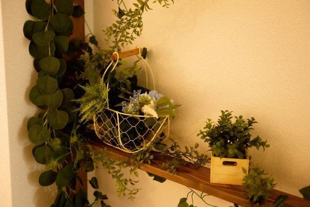 文化村から徒歩２分・神泉駅歩３分｜広々サロン。昇降ベッド・大型テーブルとソファを配したボタニカルな空間 *4階まで階段ですの写真9