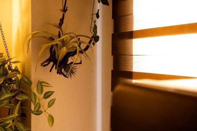 文化村から徒歩２分・神泉駅歩３分｜広々サロン。昇降ベッド・大型テーブルとソファを配したボタニカルな空間 *4階まで階段ですの写真10