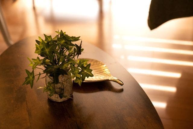 文化村から徒歩２分・神泉駅歩３分｜広々サロン。昇降ベッド・大型テーブルとソファを配したボタニカルな空間 *4階まで階段ですの写真13