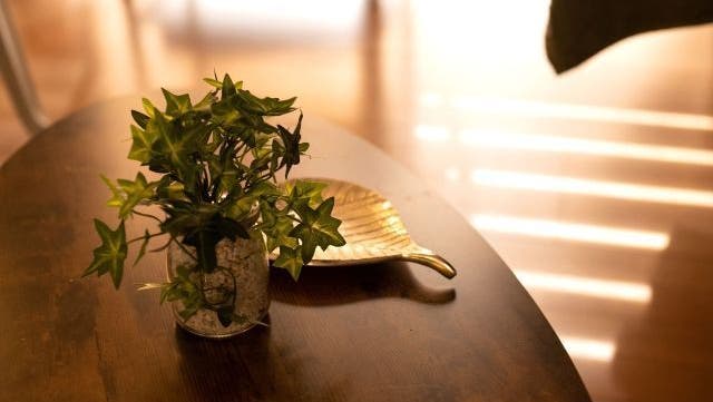 文化村から徒歩2分・神泉駅歩3分|広々サロン。昇降ベッド・大型テーブルとソファを配したボタニカルな空間 *4階まで階段ですの写真13