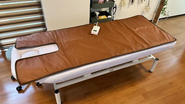 文化村から徒歩2分・神泉駅歩3分|広々サロン。昇降ベッド・大型テーブルとソファを配したボタニカルな空間 *4階まで階段ですの写真25